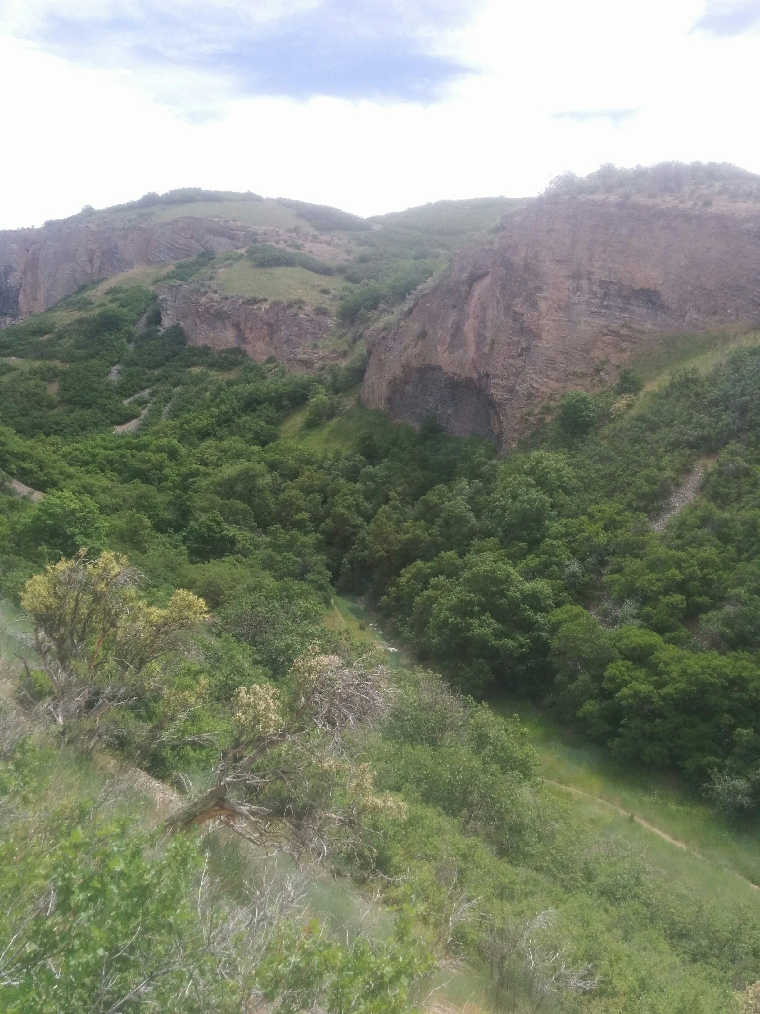 Research | Kevin Ricks