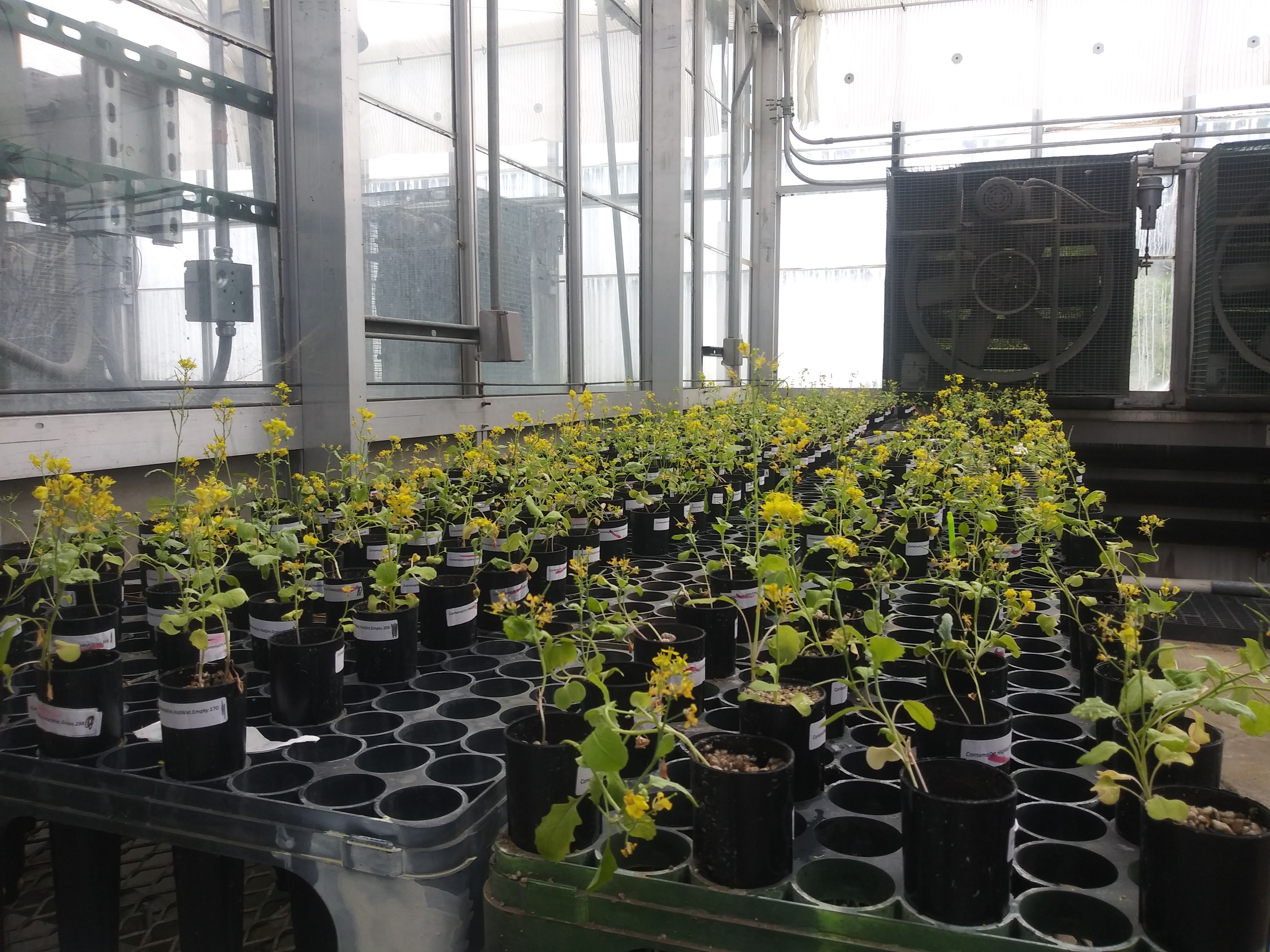 Research | Kevin Ricks