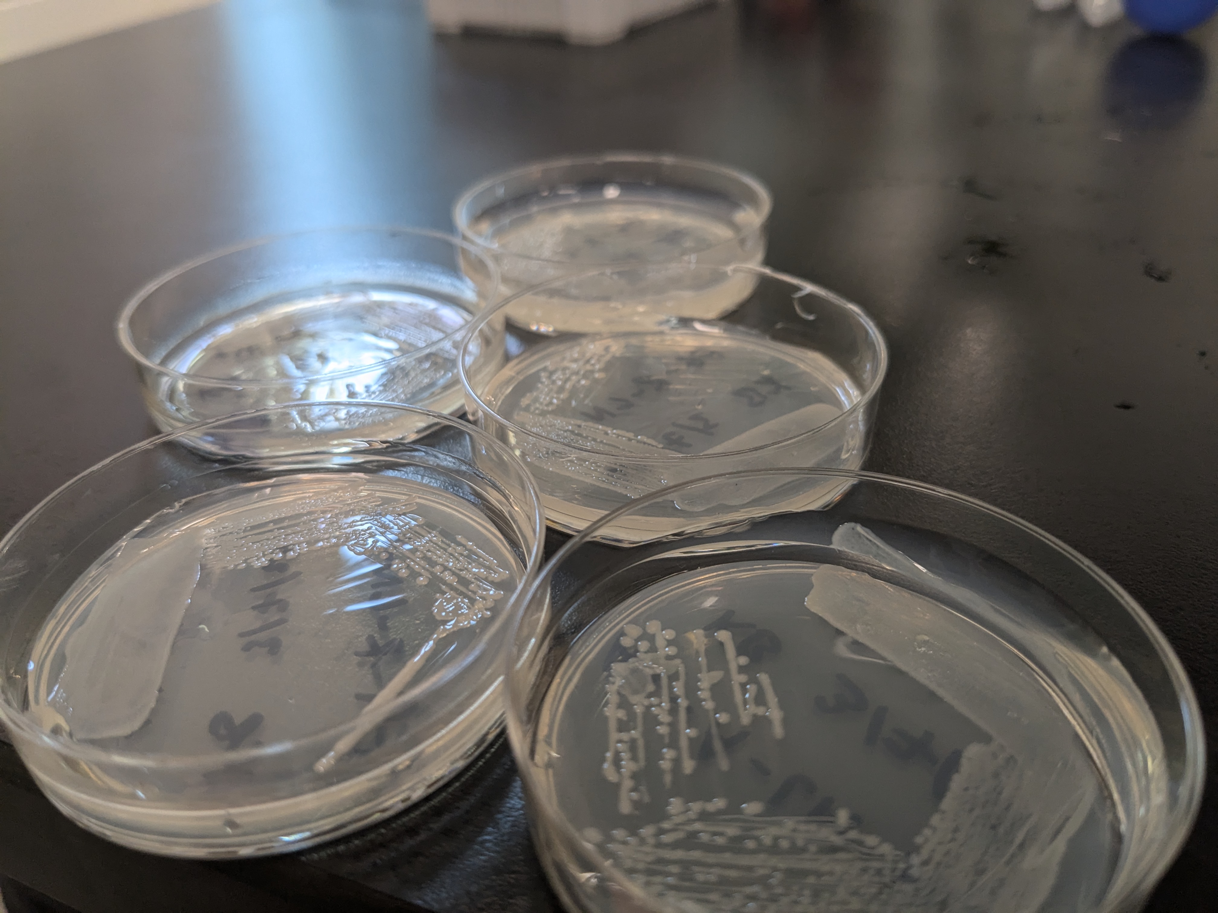 Research | Kevin Ricks